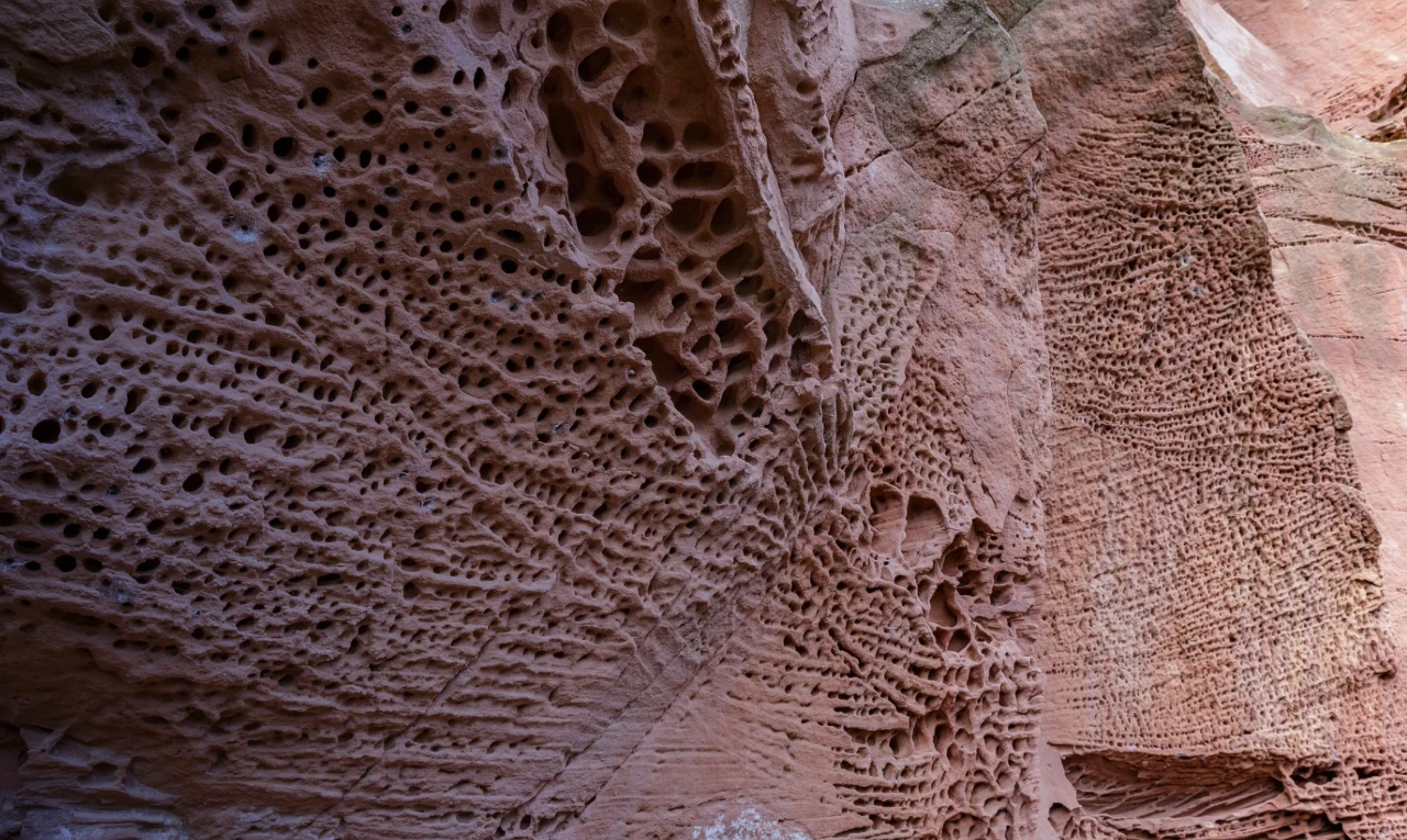 Innovación en el campo de la GEOCIENCIA | Geoit